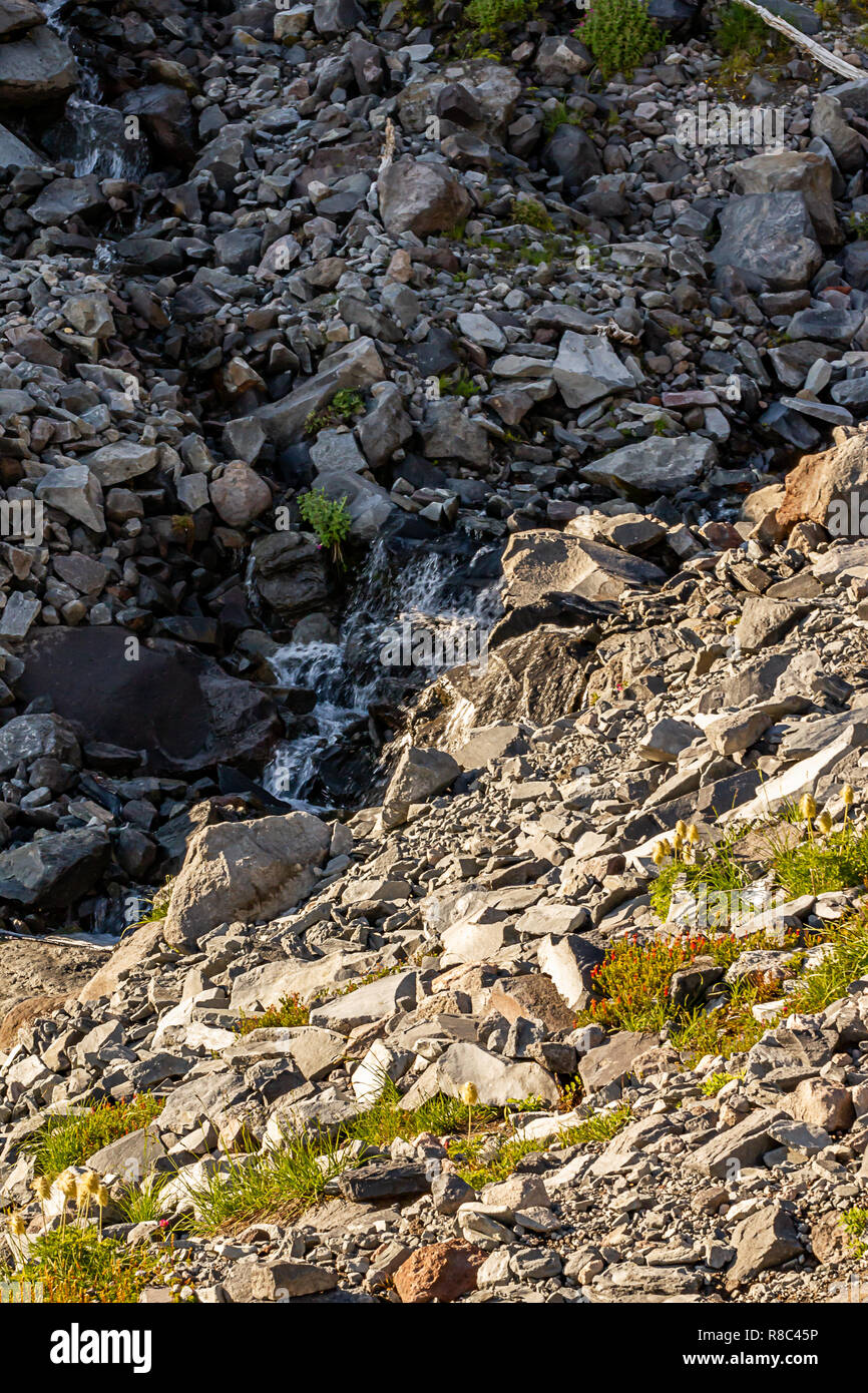 water running over rocky soil in volcanic landscape near rainier Stock ...