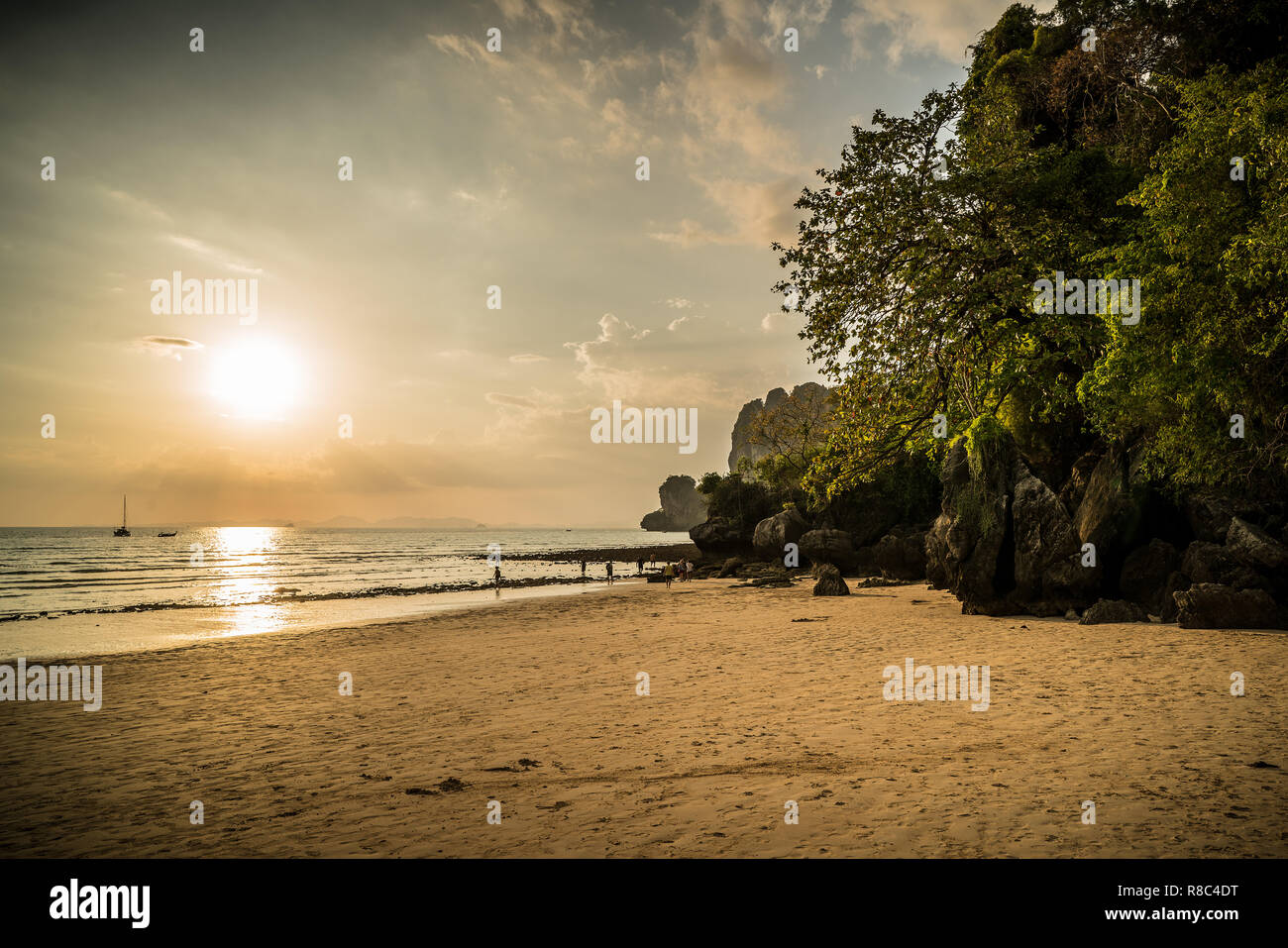 Picturesque sunset traditional long tail hi-res stock photography and ...