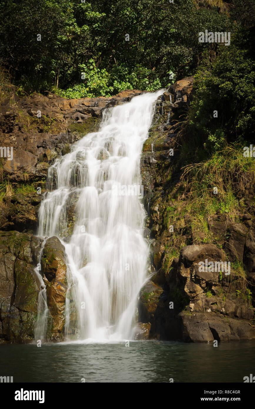 Oahu waterfall hike hi-res stock photography and images - Alamy