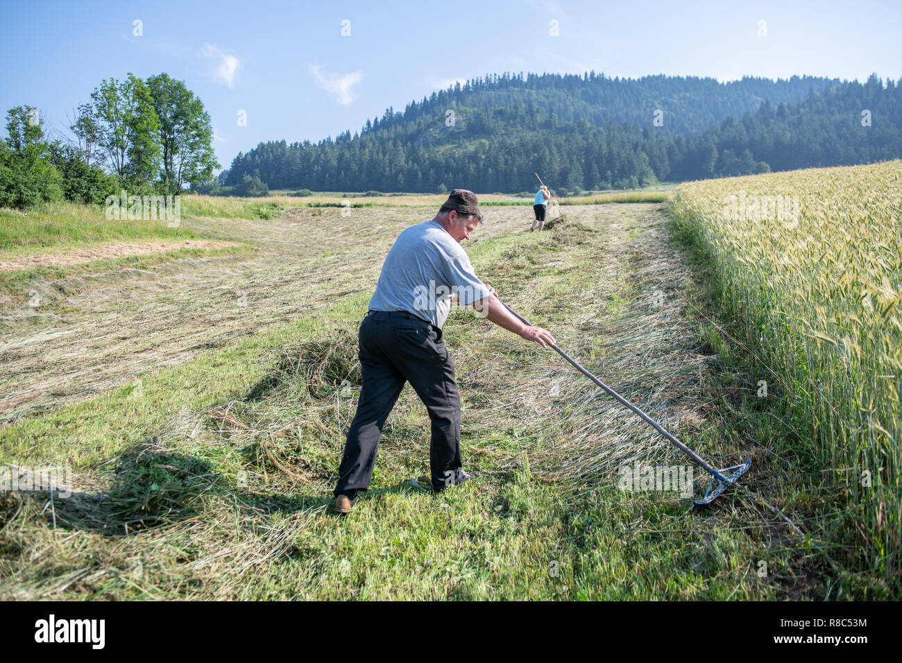 Farmers rake hi-res stock photography and images - Alamy