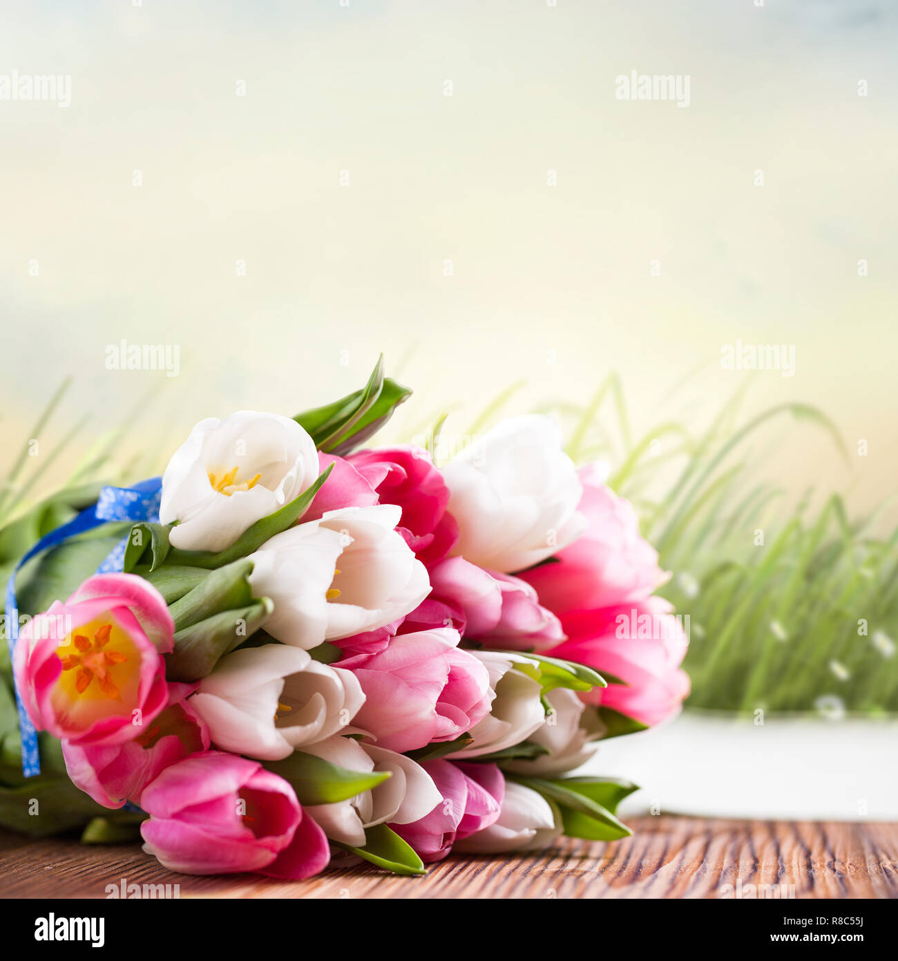 bouquet of tulips in front of spring scene Stock Photo - Alamy