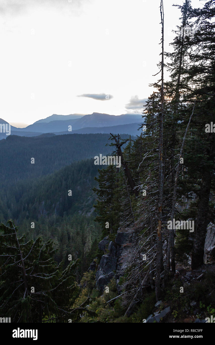 Cascadex hi-res stock photography and images - Alamy