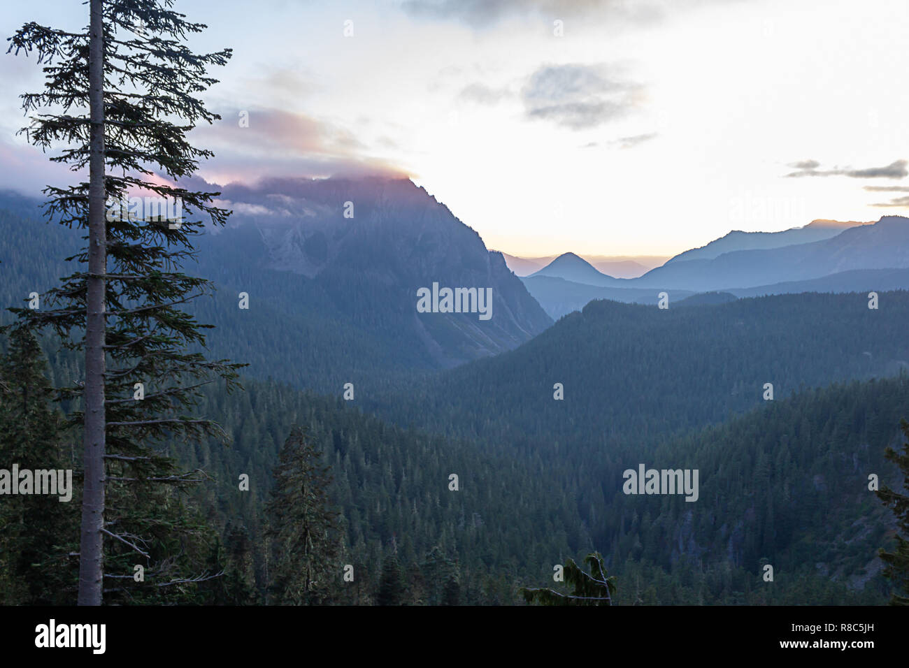 Cascadex hi-res stock photography and images - Alamy