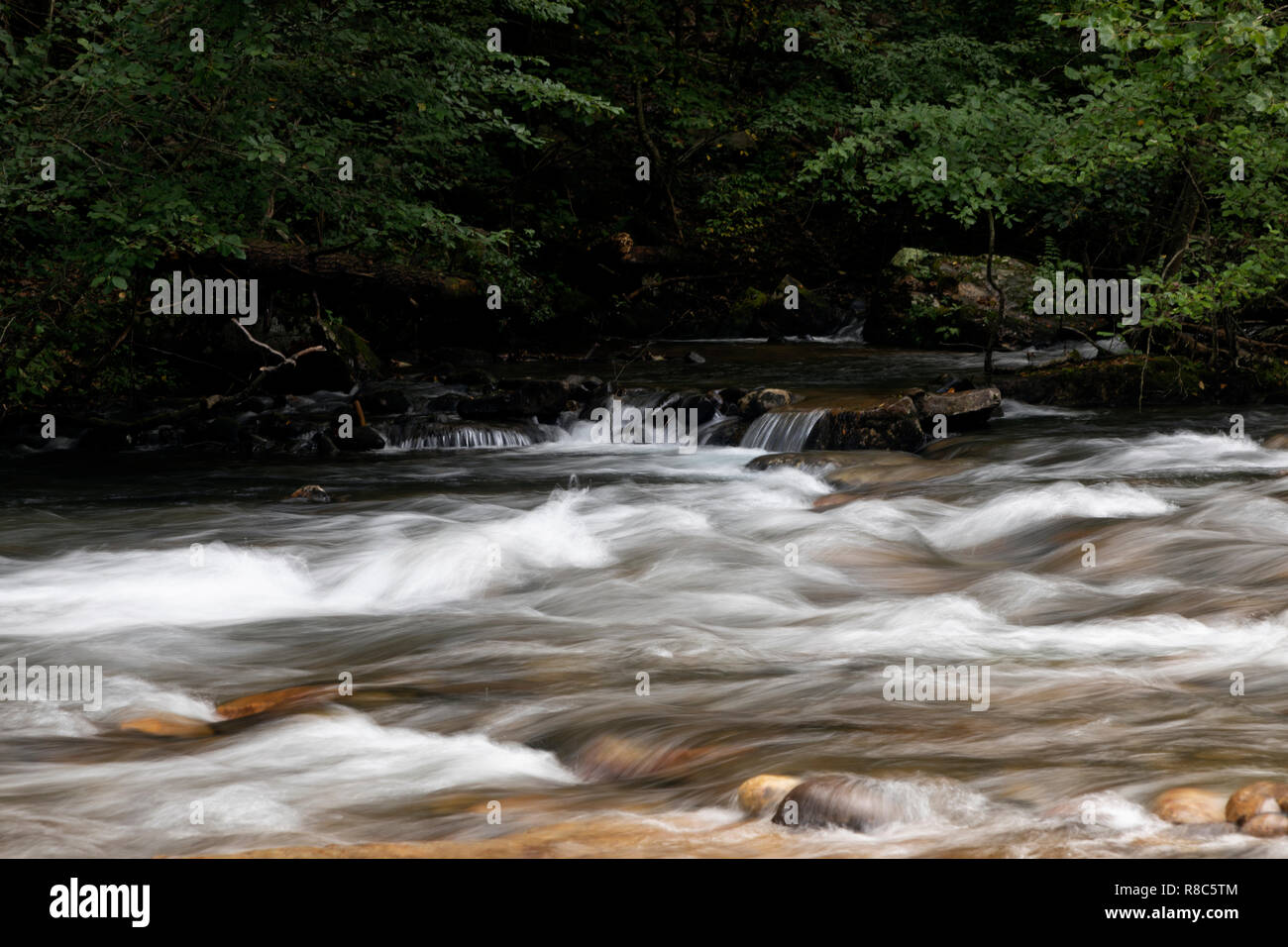 Virginia has many hidden areas of beauty like this flowing river ...
