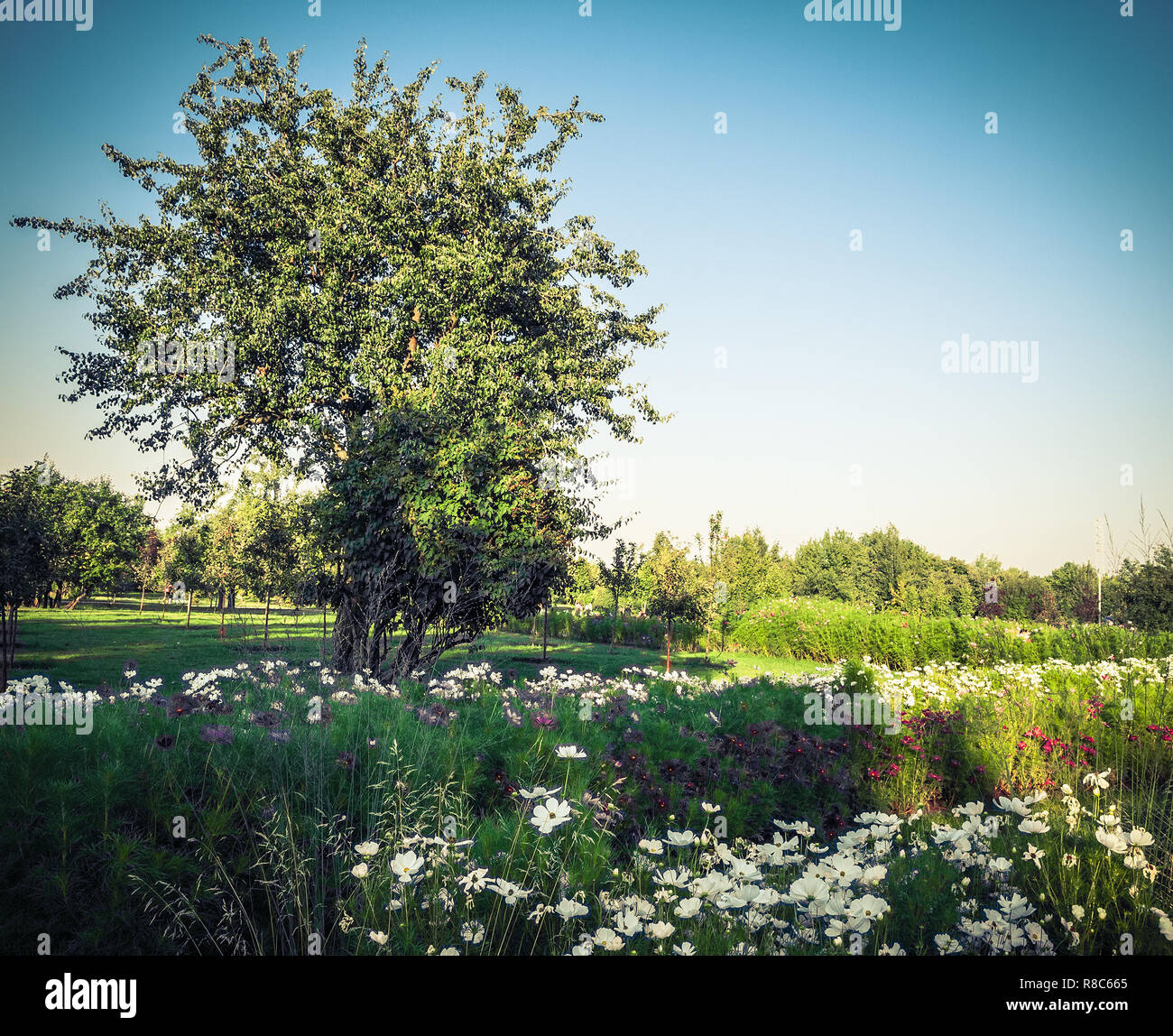 Landscaped landscape hi-res stock photography and images - Alamy