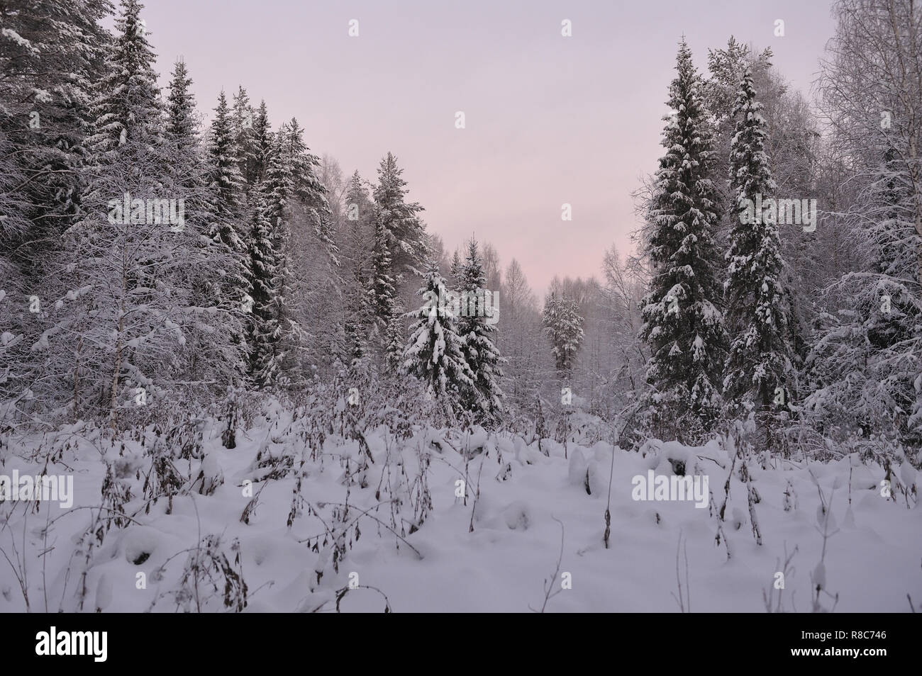 Christmas card scene sunset national park hi-res stock photography and ...