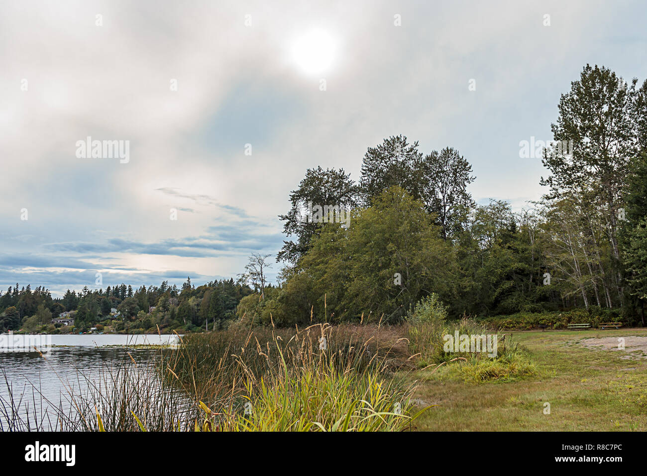 lake bank with trees and clouds overhead Stock Photo - Alamy
