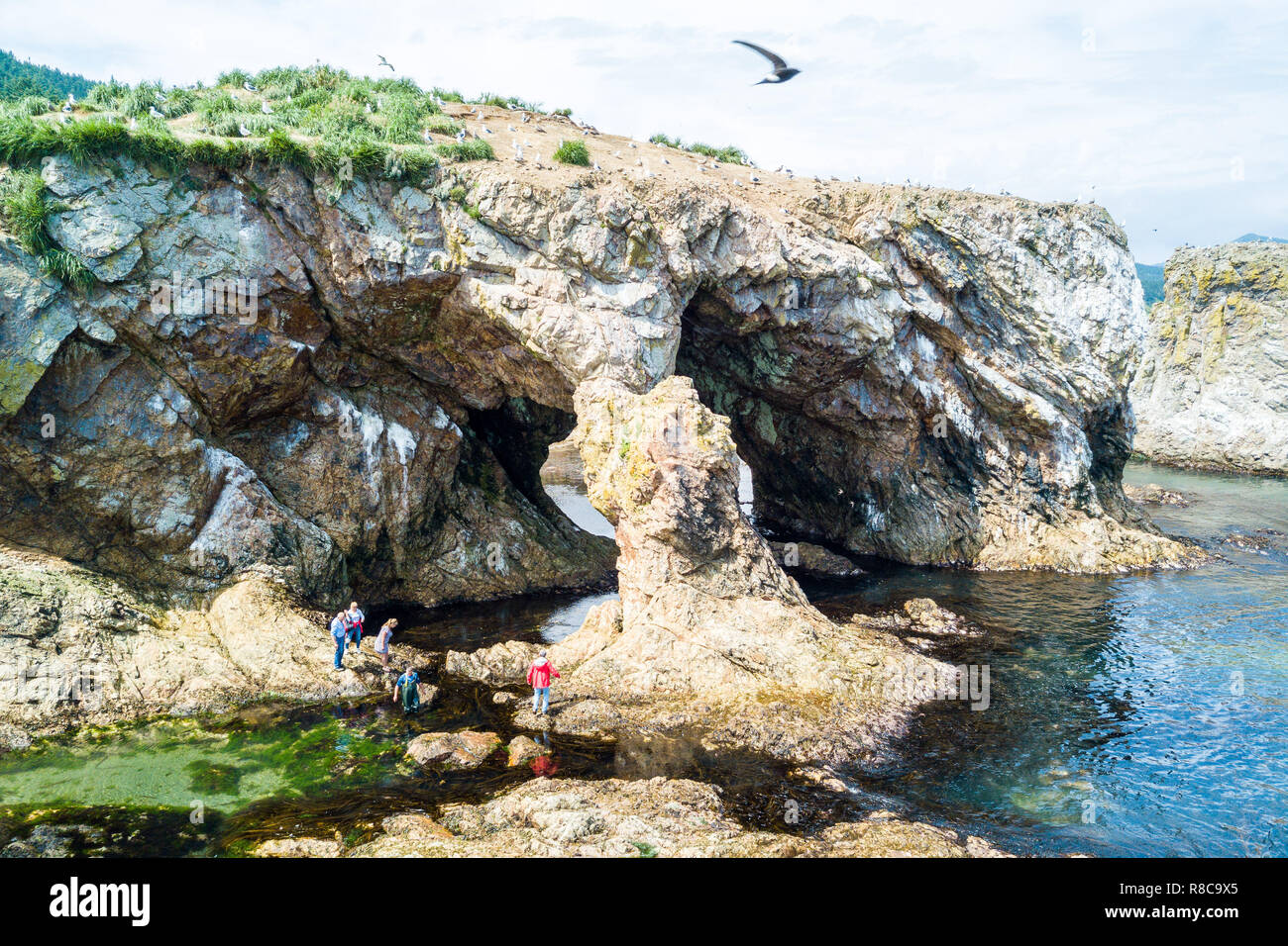 Sakhalin island hi-res stock photography and images - Alamy