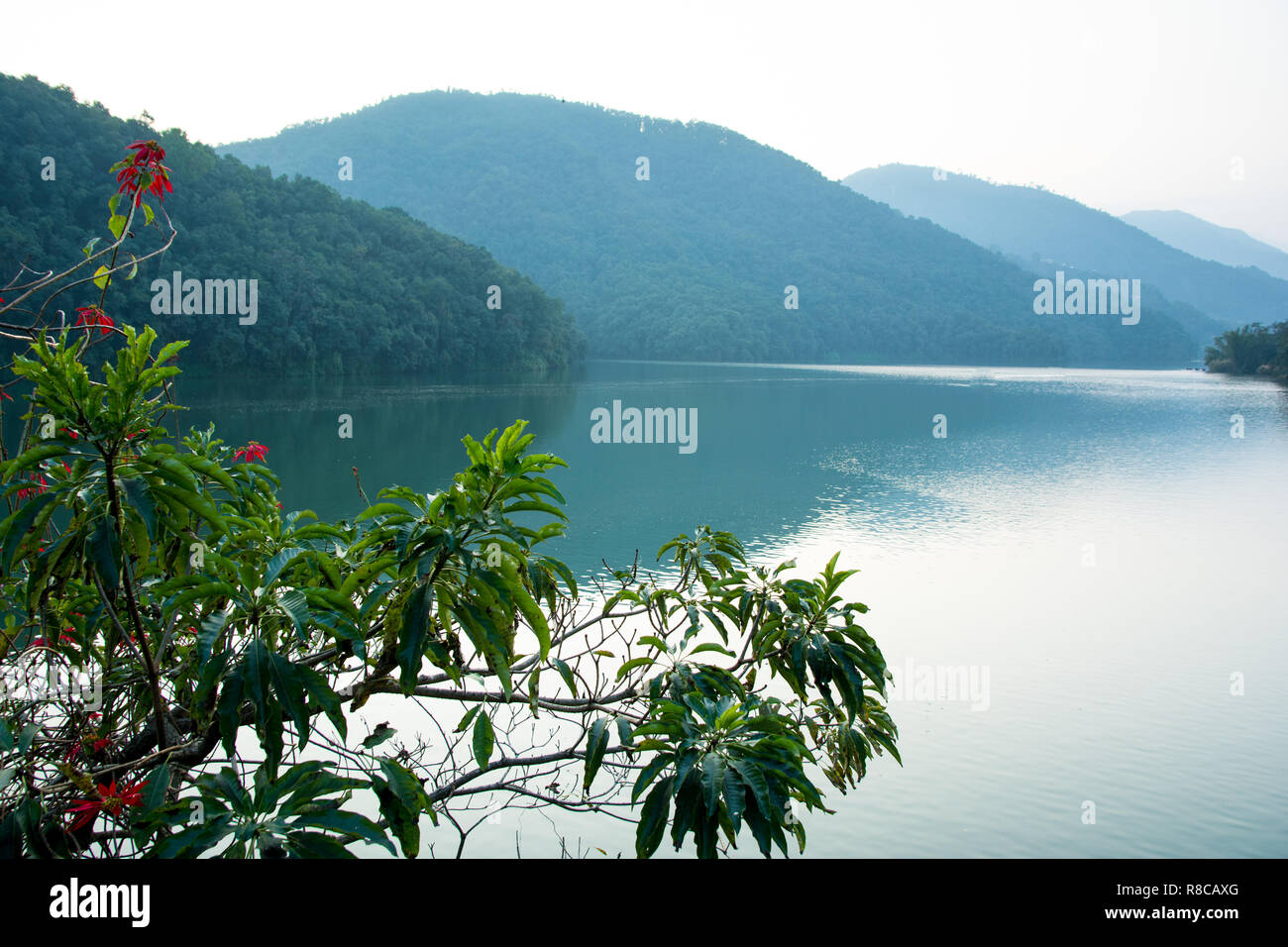 Around Phewa Lake and hills in Pokhara, a popular tourist destination ...