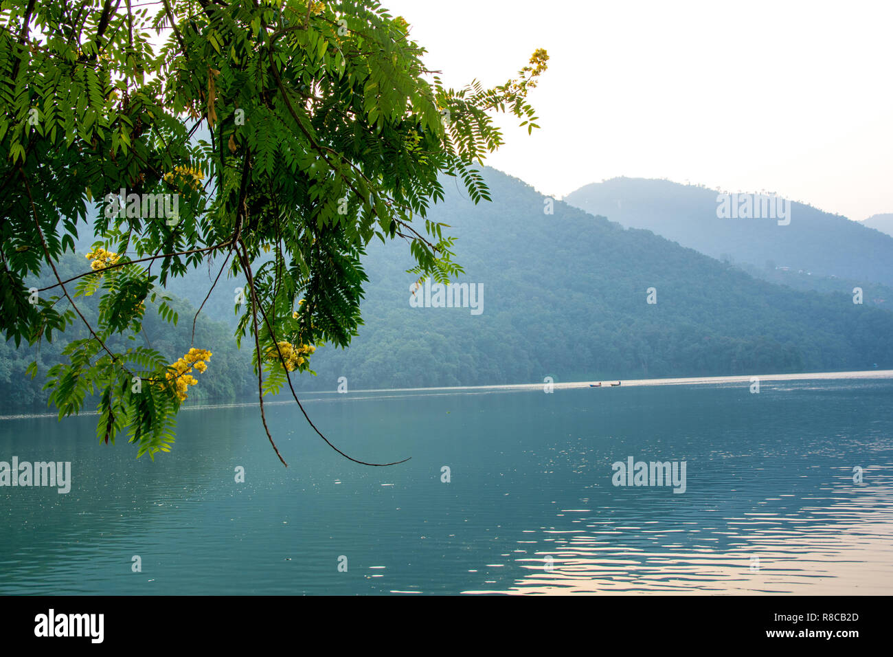 Around Phewa Lake and hills in Pokhara, a popular tourist destination ...