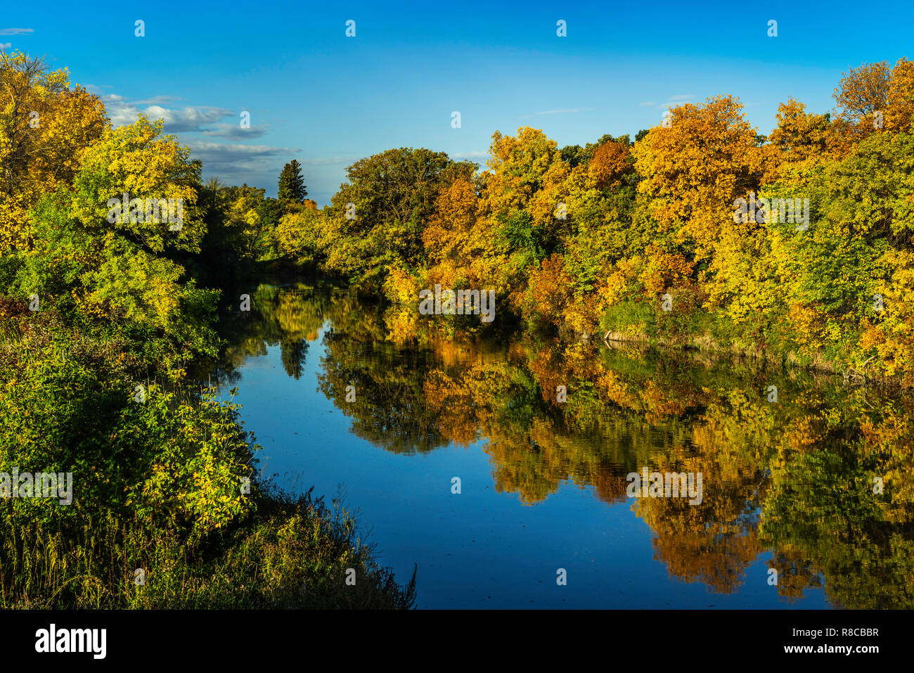 Fall foliage color and the Whitemud River along Hwy. 16, Manitoba ...