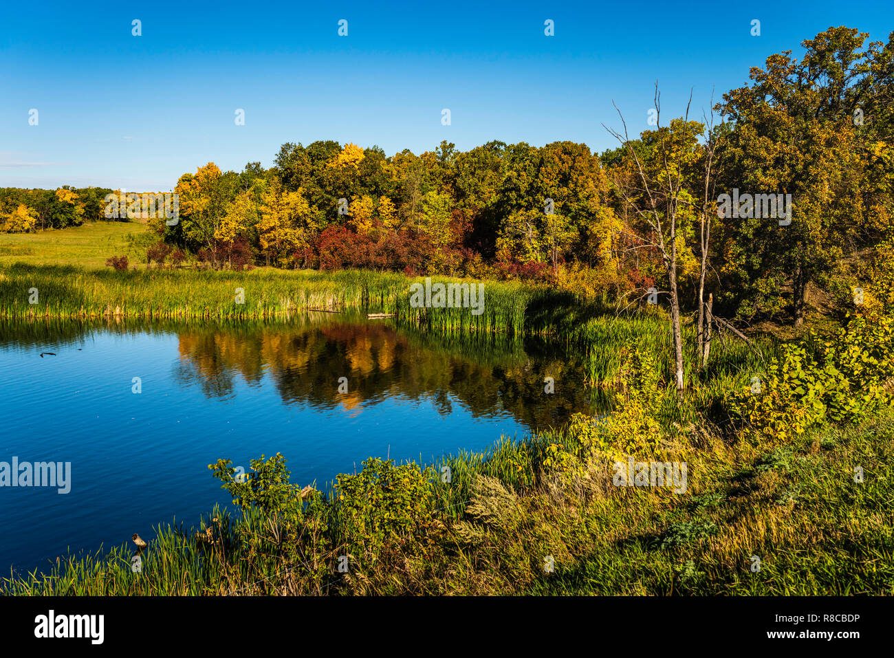 A small pond with fall foliage color along Hwy 5 in western Manitoba ...