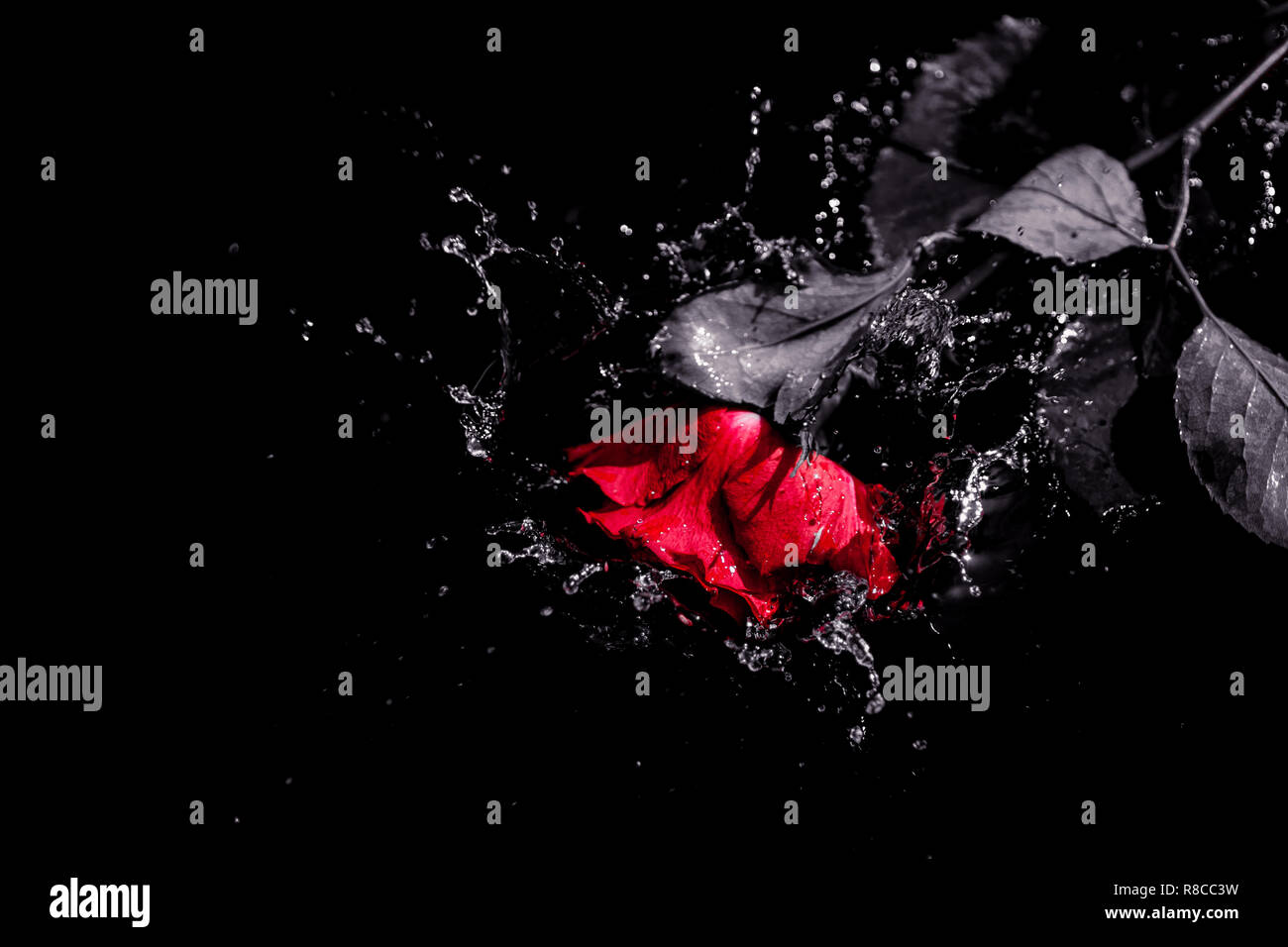 Ferrari flower High Resolution Stock Photography and Images - Alamy