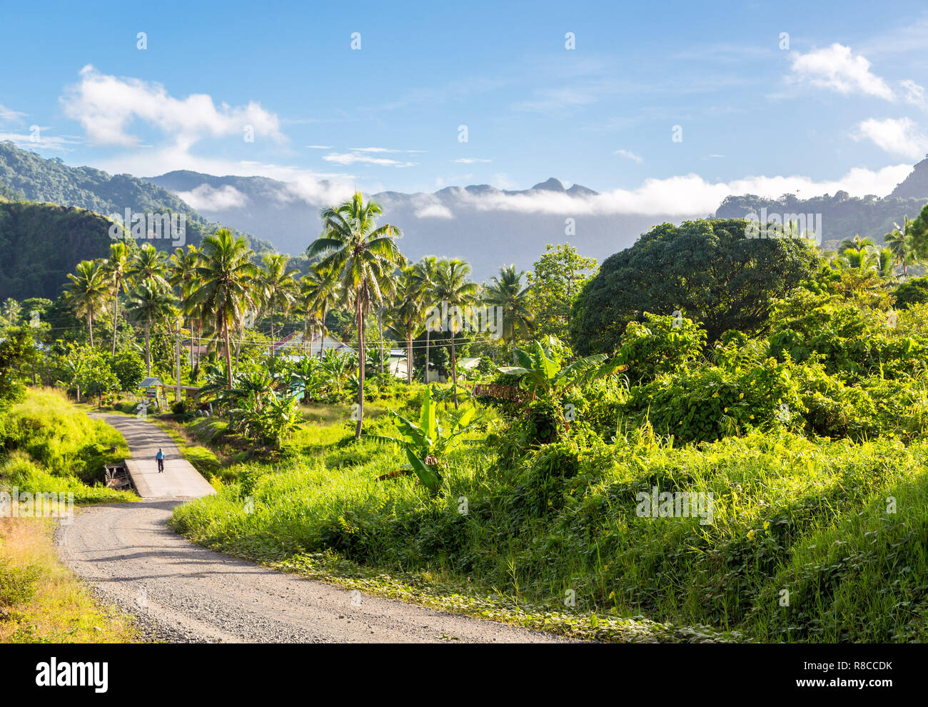 Volcanic hills, mountains, valleys, volcano mouth of beautiful green ...