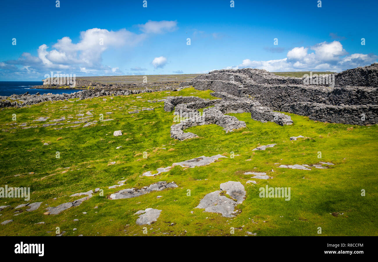 an den Cliffs von Inishmore, Aran Island, Ireland Stock Photo - Alamy
