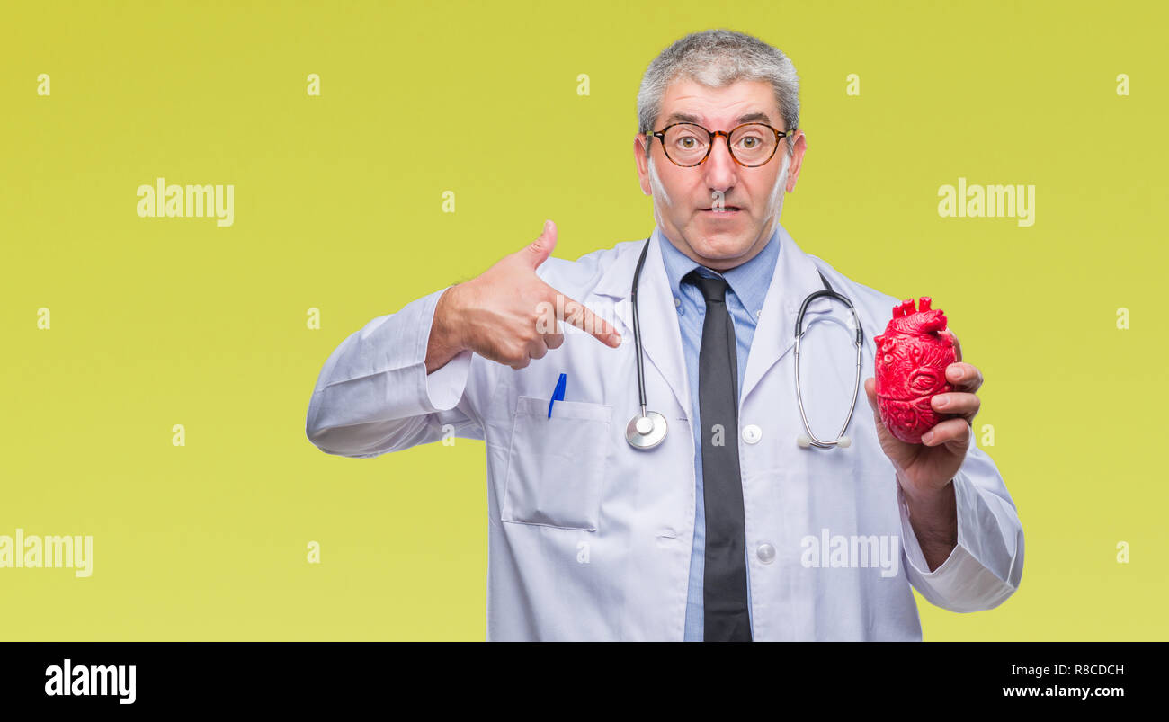 Handsome senior cardiologist doctor man holding heart over isolated ...