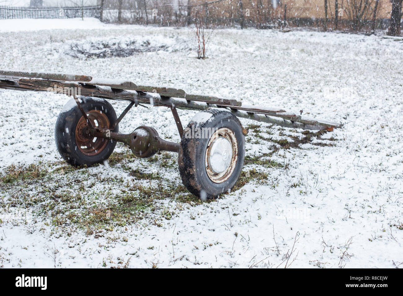 Covered with fine snow hi-res stock photography and images - Alamy