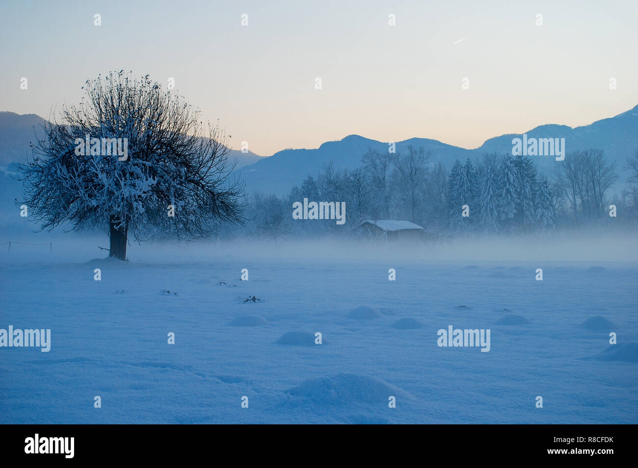 a big blizzard arrives, with a strong north wind, cold and impetuous ...