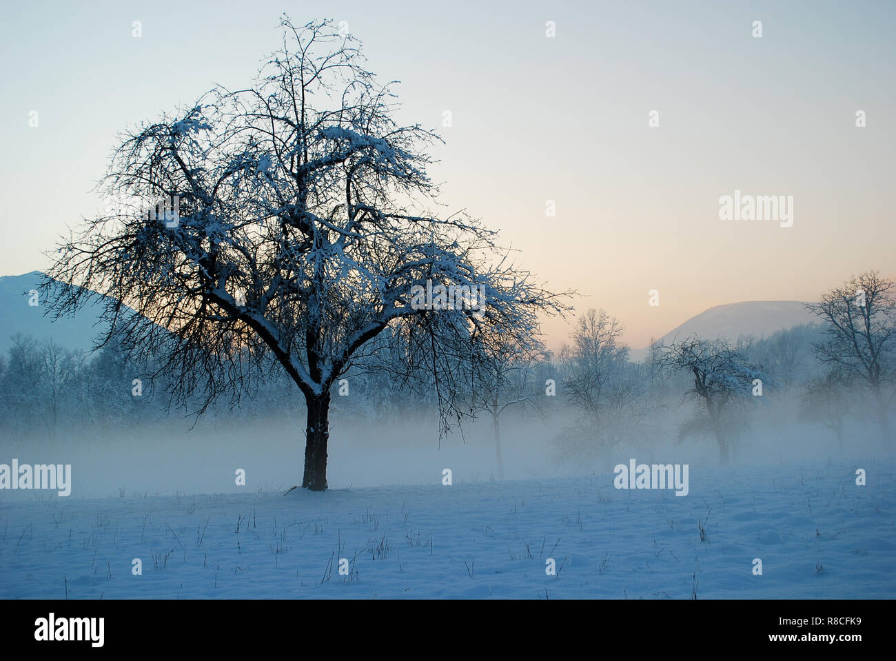 a big blizzard arrives, with a strong north wind, cold and impetuous ...