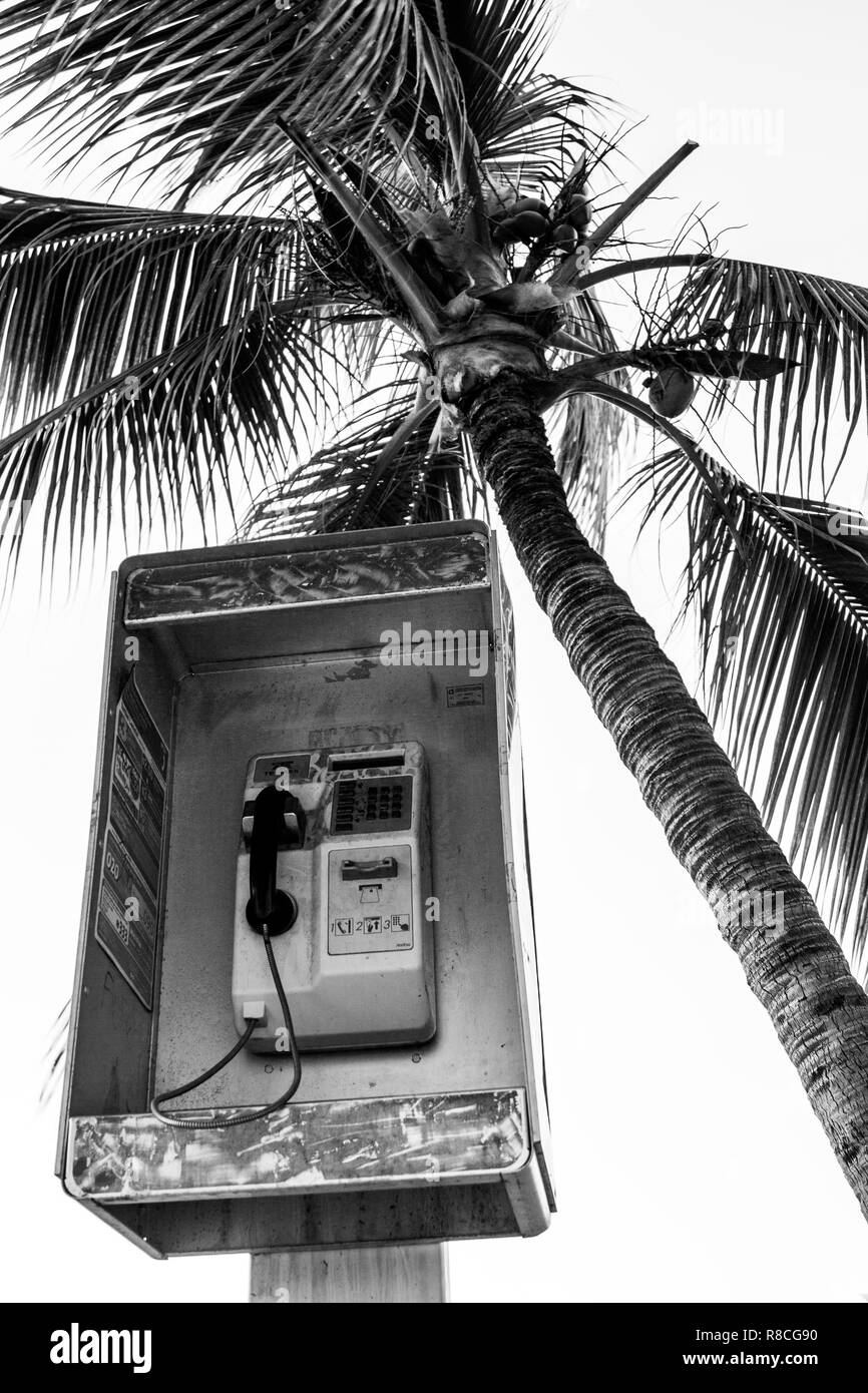 Holiday phone call Black and White Stock Photos & Images - Alamy