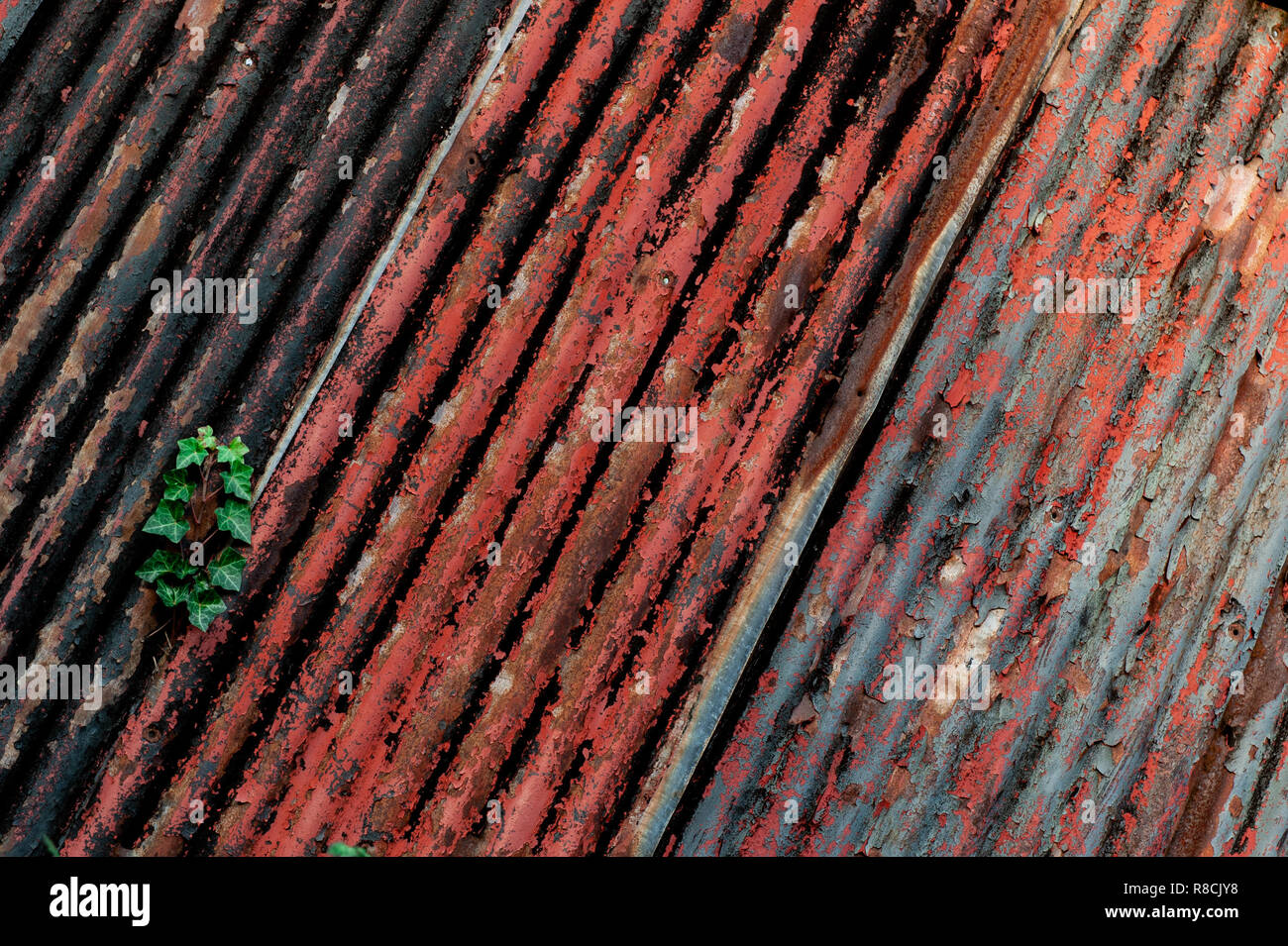 Multi coloured corrugated iron close-ups Stock Photo - Alamy