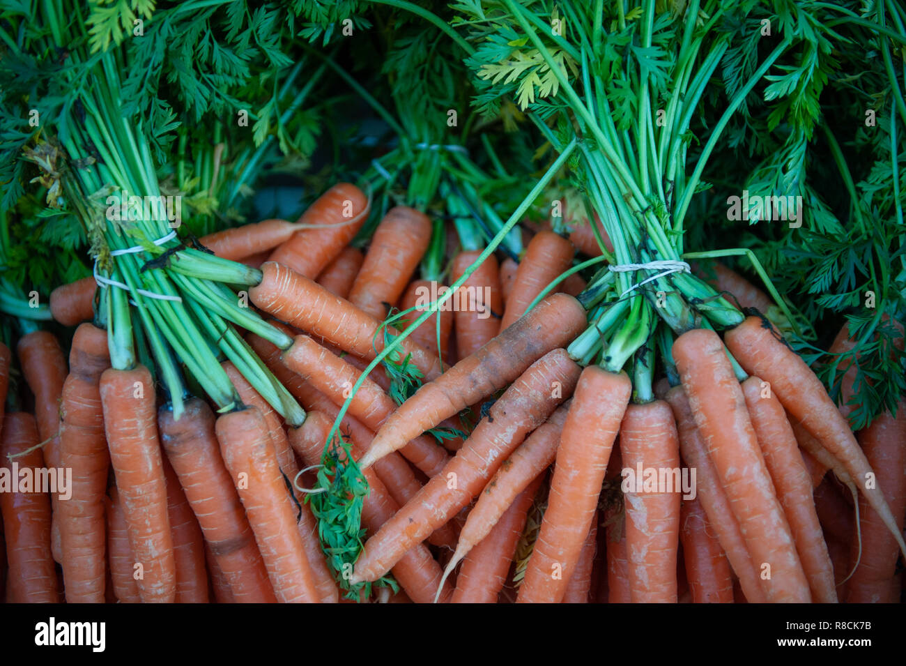 Bunches of carrots hi-res stock photography and images - Alamy