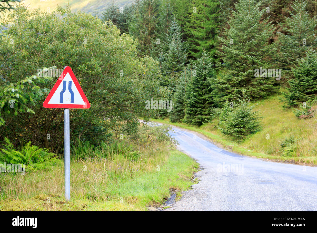 UK Triangle road sign warning of narrow road Stock Photo - Alamy