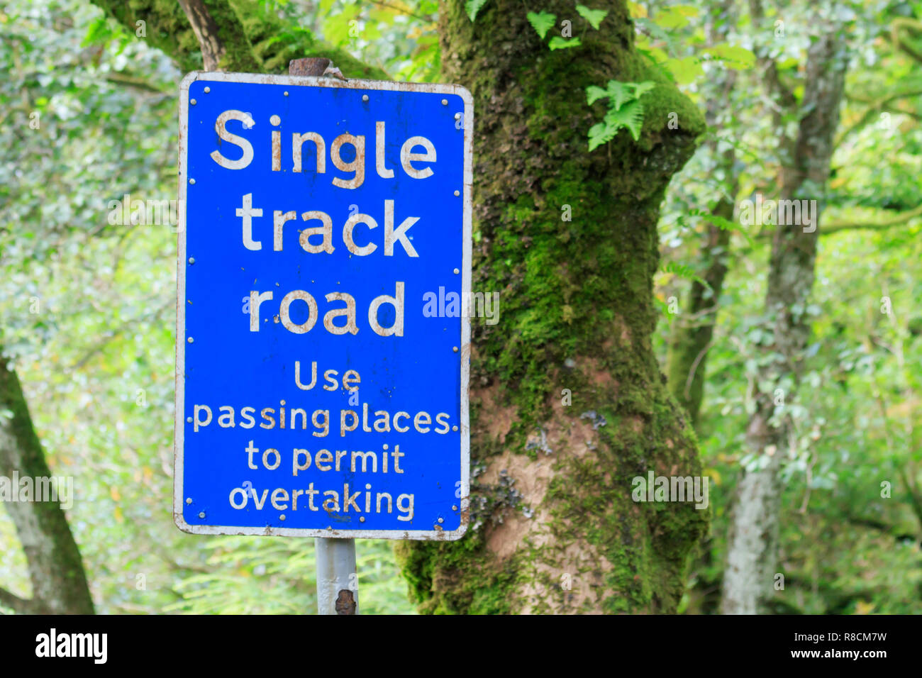 UK Road Sign Warning Of Single Track Road Stock Photo Alamy uk-road-sign-warning-of-single-track-road-stock-photo-alamy