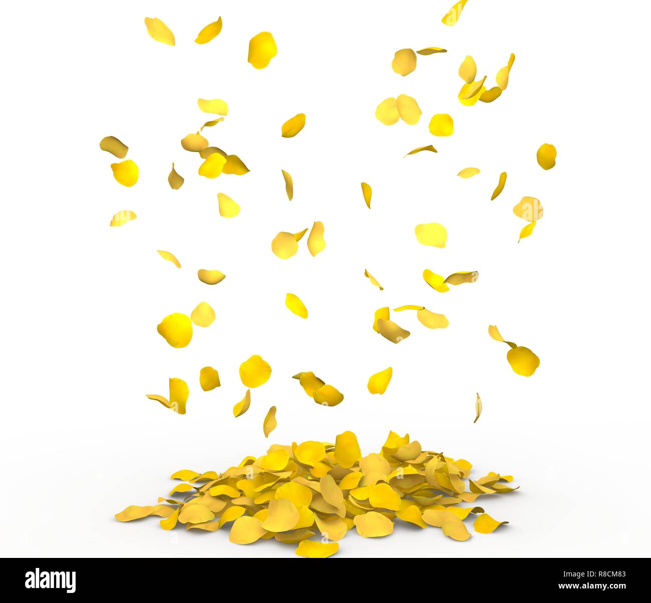 Rose petals fall to the floor. Isolated background Stock Photo - Alamy