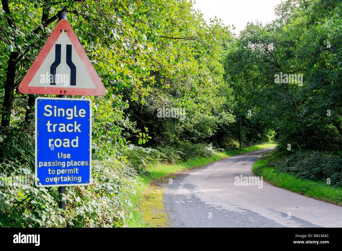 UK Triangle road sign warning of single track road Stock Photo - Alamy