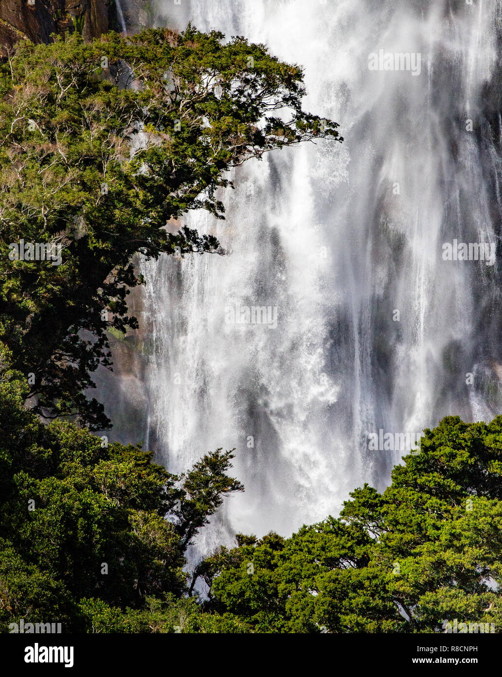 Lady Bowen Falls - a 300 metre waterfall at Milford Sound Fjordland ...