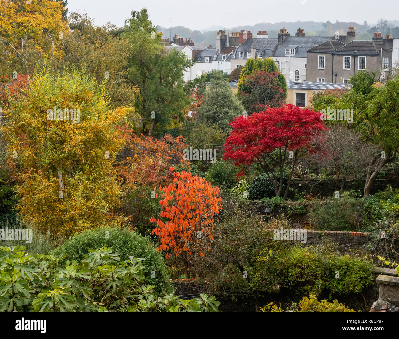 Suburban gardens hi-res stock photography and images - Alamy
