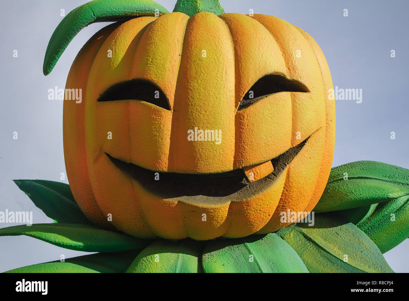 halloween pumpkin jack-o-latern Stock Photo - Alamy