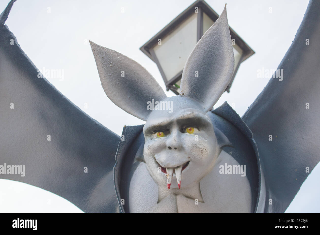 Bat eared fox teeth hi-res stock photography and images - Alamy