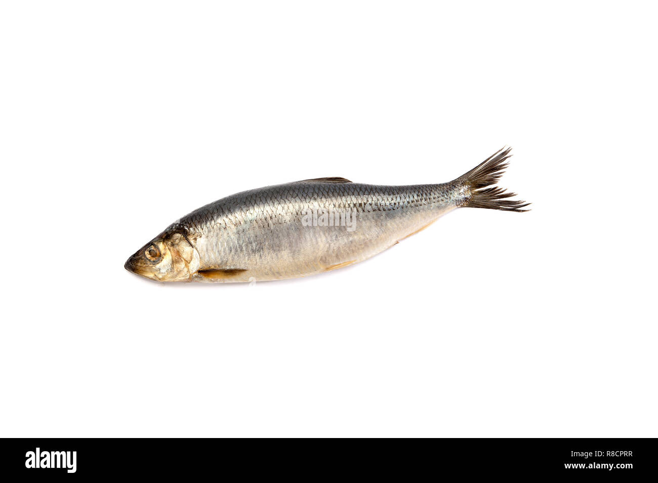 Dried salted fish sticks isolated on white Stock Photo - Alamy