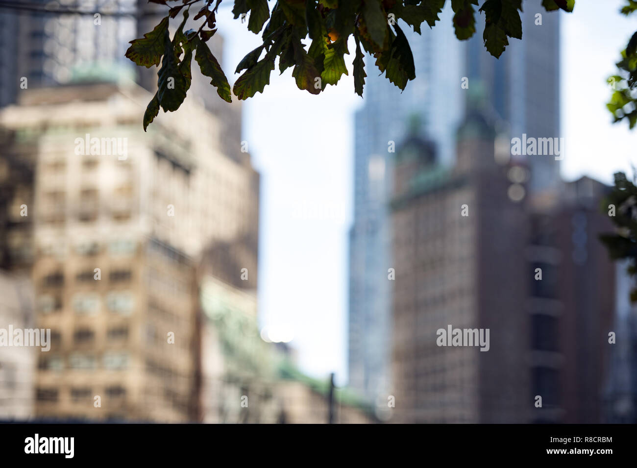 (selective focus) Blurred huge buildings and beautiful skyscrapers in ...