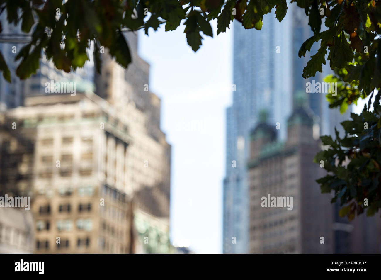(selective focus) Blurred huge buildings and beautiful skyscrapers in ...