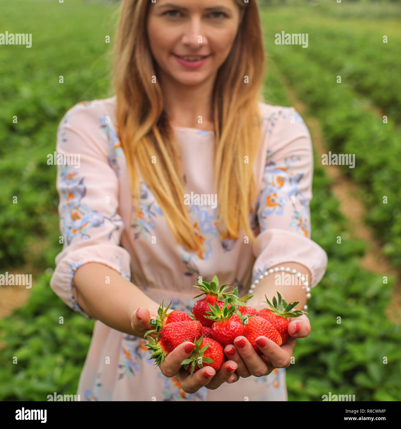 Two farm hands harvesting hi-res stock photography and images - Alamy