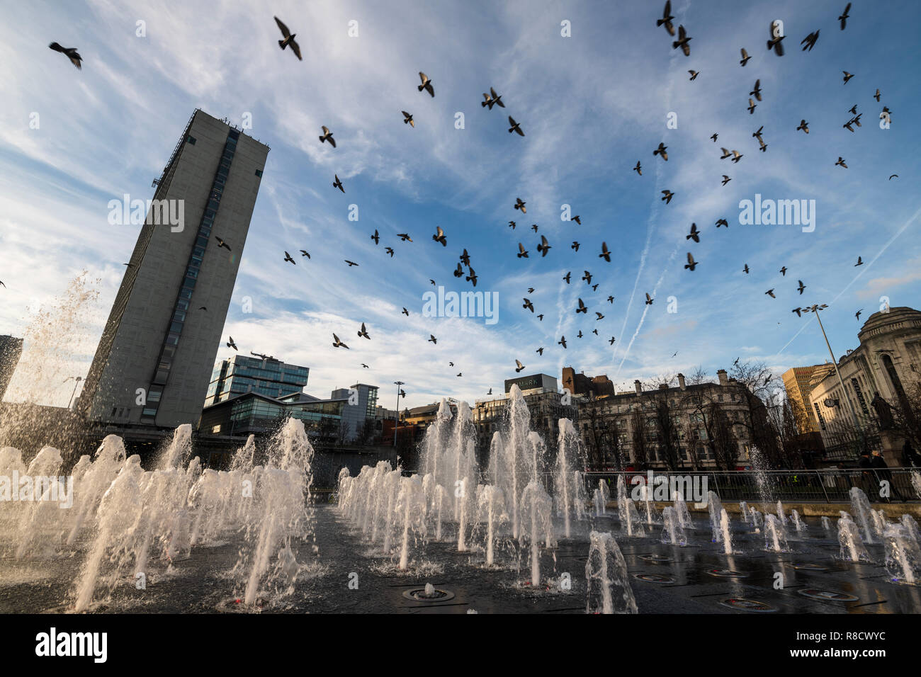 Birds Flying above fountain Manchester Stock Photo - Alamy