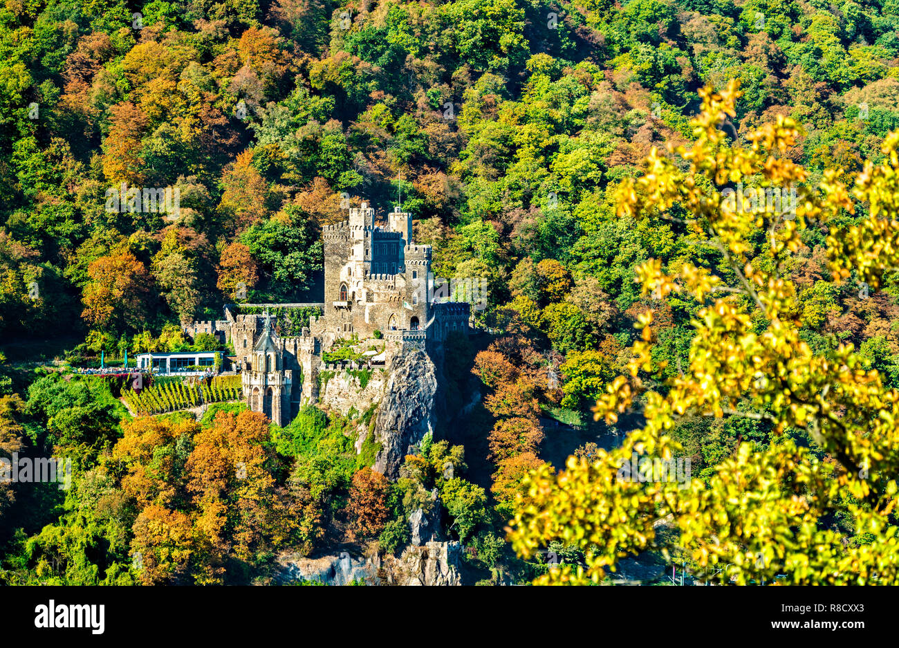 Rheinstein Castle in the Rhine Gorge, Germany Stock Photo - Alamy