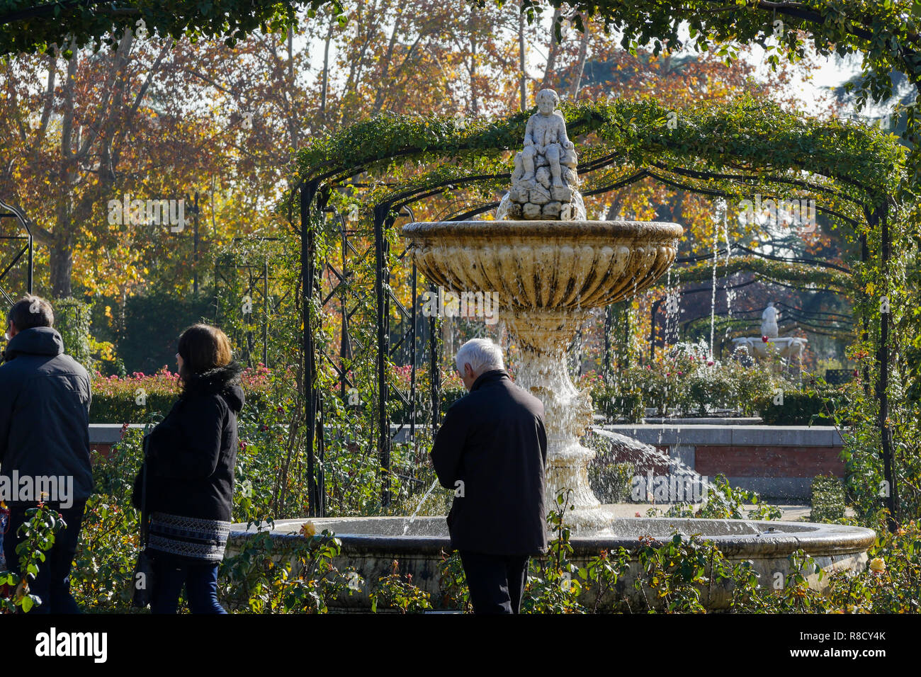Rose garden, Retiro Park - Parque del Retiro, Madrid, Spain Stock Photo ...
