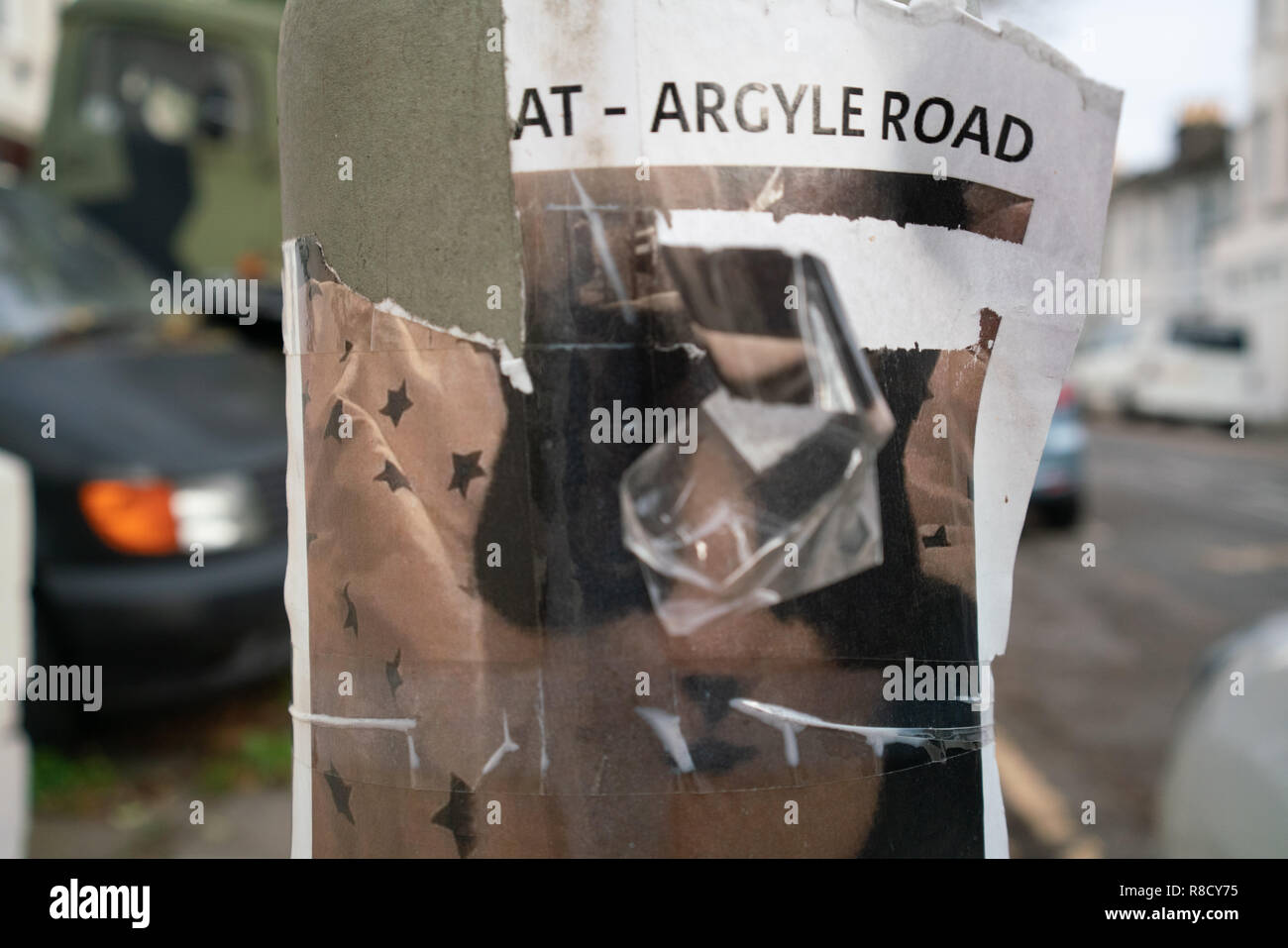 A Crumpled Poster for a Missing Cat Stock Photo - Alamy