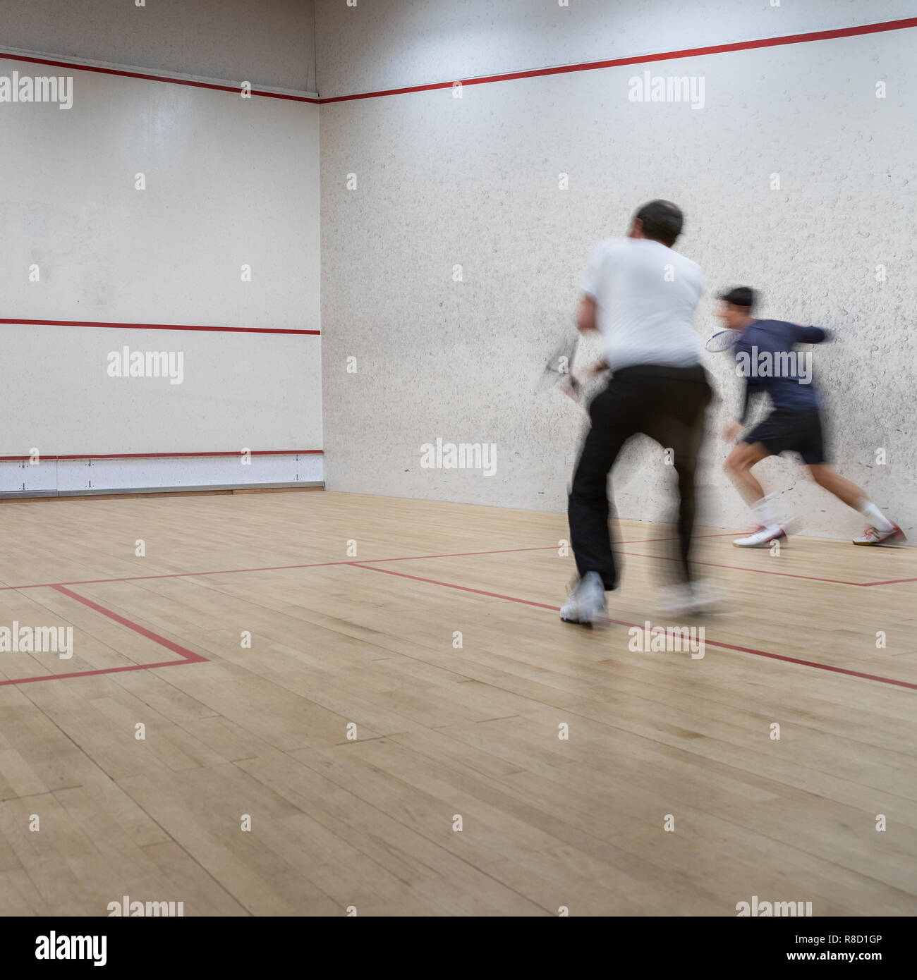 Squash players in action on a squash court (motion blurred image; color ...