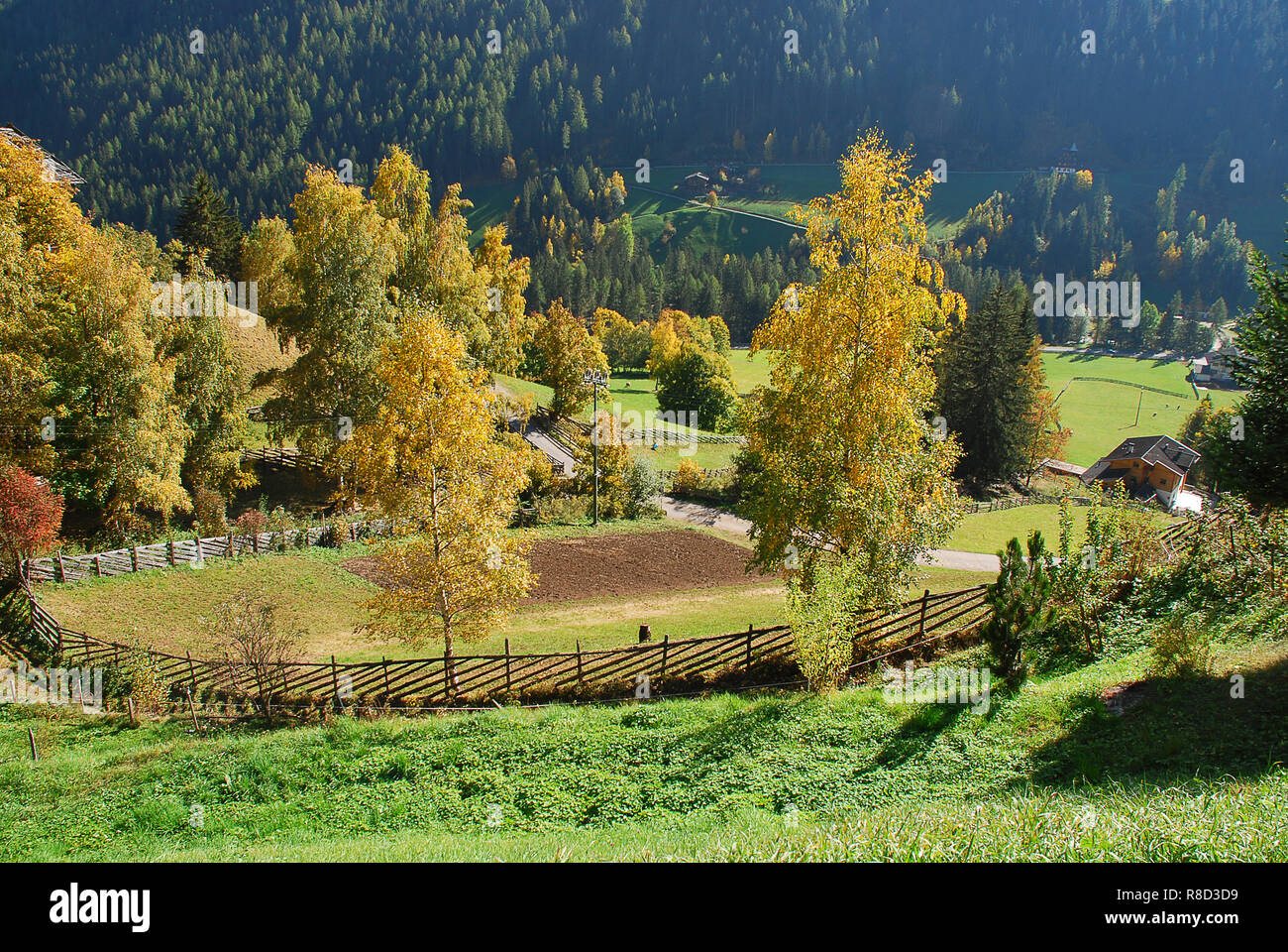 Mountain farm in south tyrol ulten valley hi-res stock photography and ...