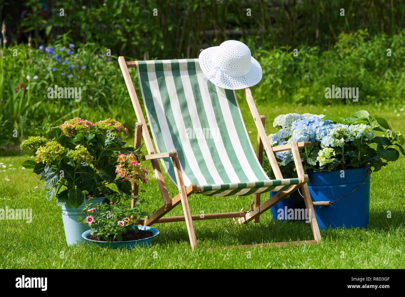 Idyllic garden with colorful hydrangeas Stock Photo - Alamy