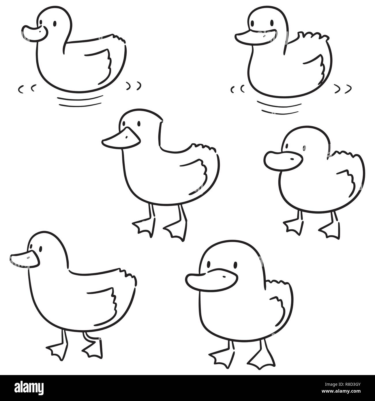 vector set of duck Stock Vector Image & Art - Alamy