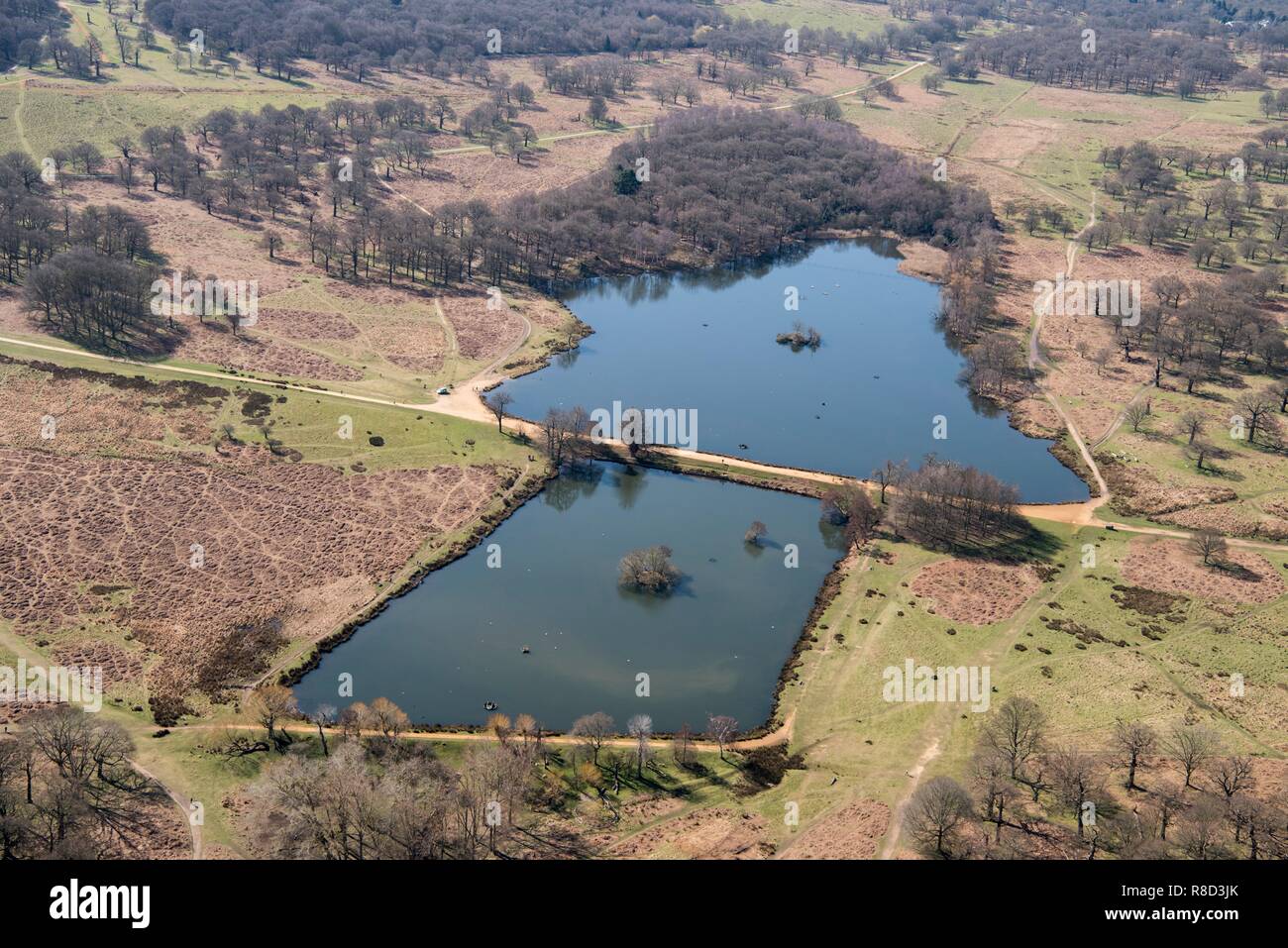 Pen Ponds, Richmond Park, Richmond upon Thames, London, 2018. Creator ...
