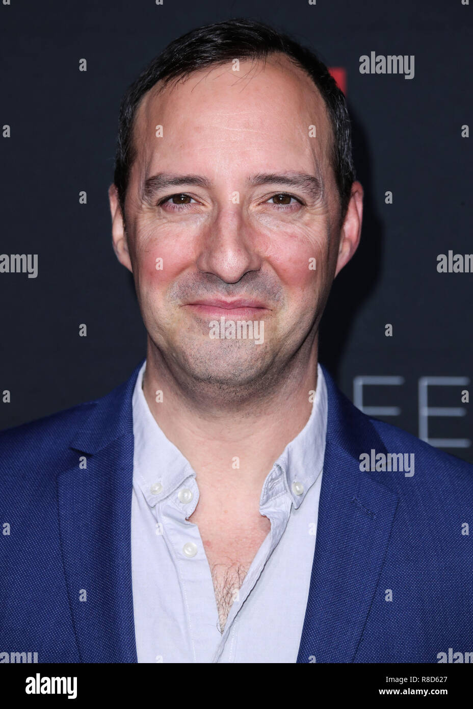 HOLLYWOOD, LOS ANGELES, CA, USA - MAY 06: Tony Hale at the Netflix ...
