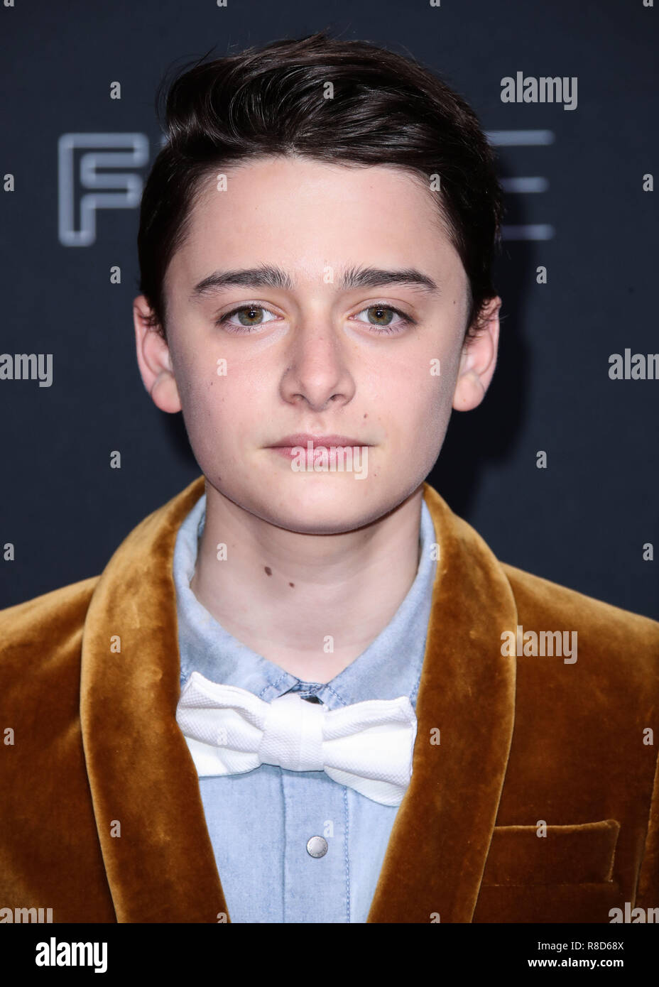HOLLYWOOD, LOS ANGELES, CA, USA - MAY 06: Noah Schnapp at the Netflix ...