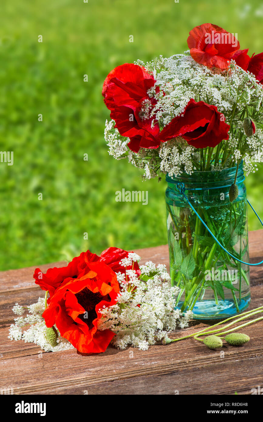 Red poppy flowers in a pot Stock Photo - Alamy